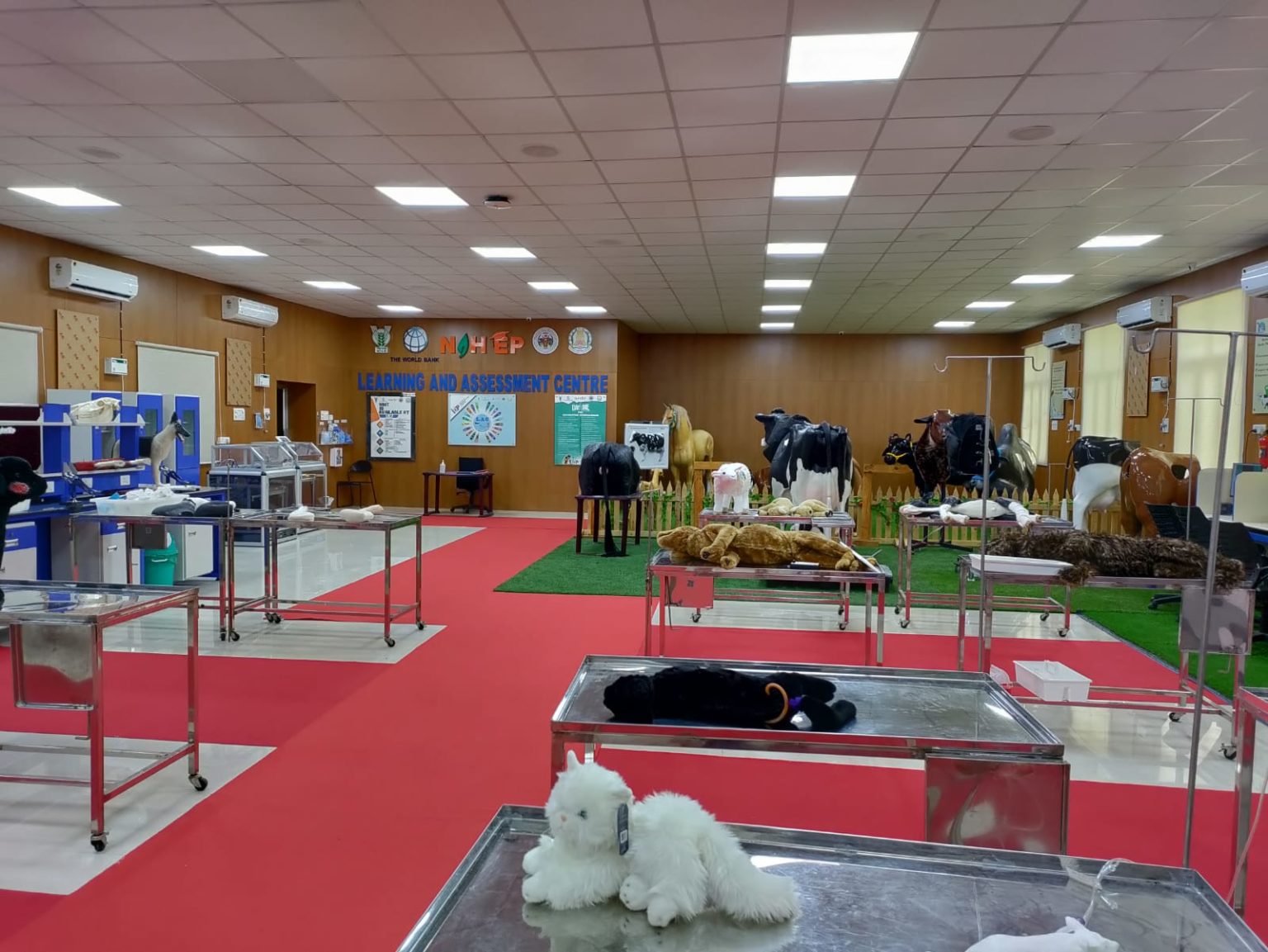 Scope for private veterinarians in India | Vethelplineindia.co.in